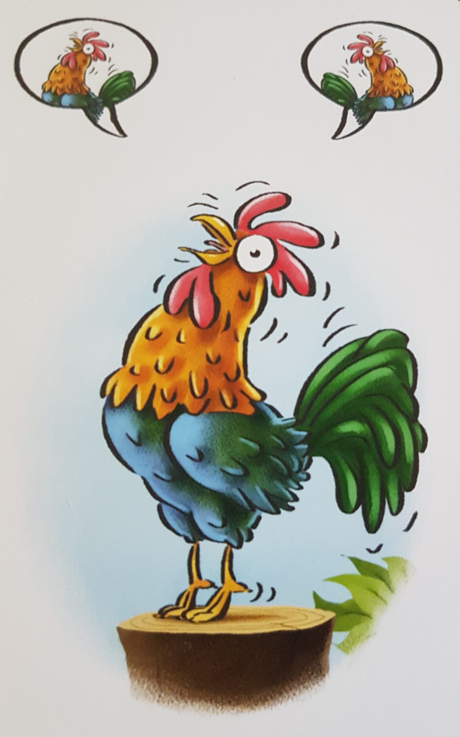 Hippe Kip – Sensalot